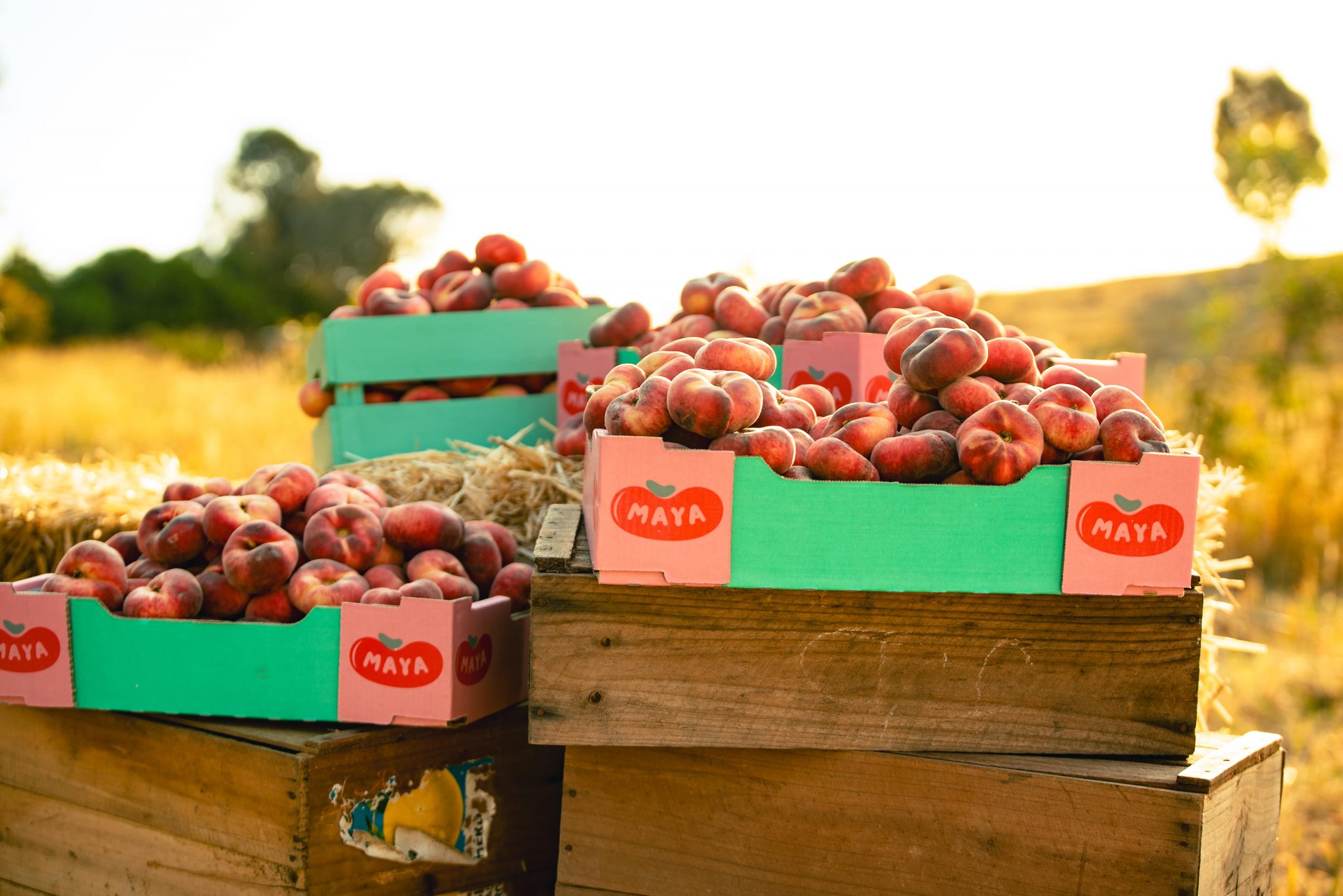 Why We Should Eat for the Seasons - EatWell